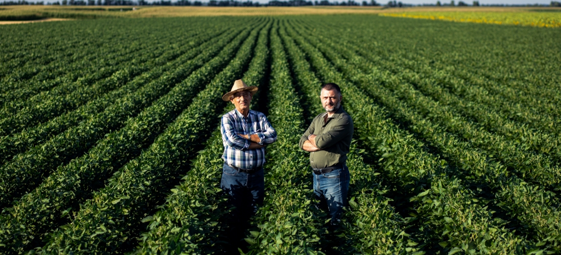 Quem somos - Agro Amazônia