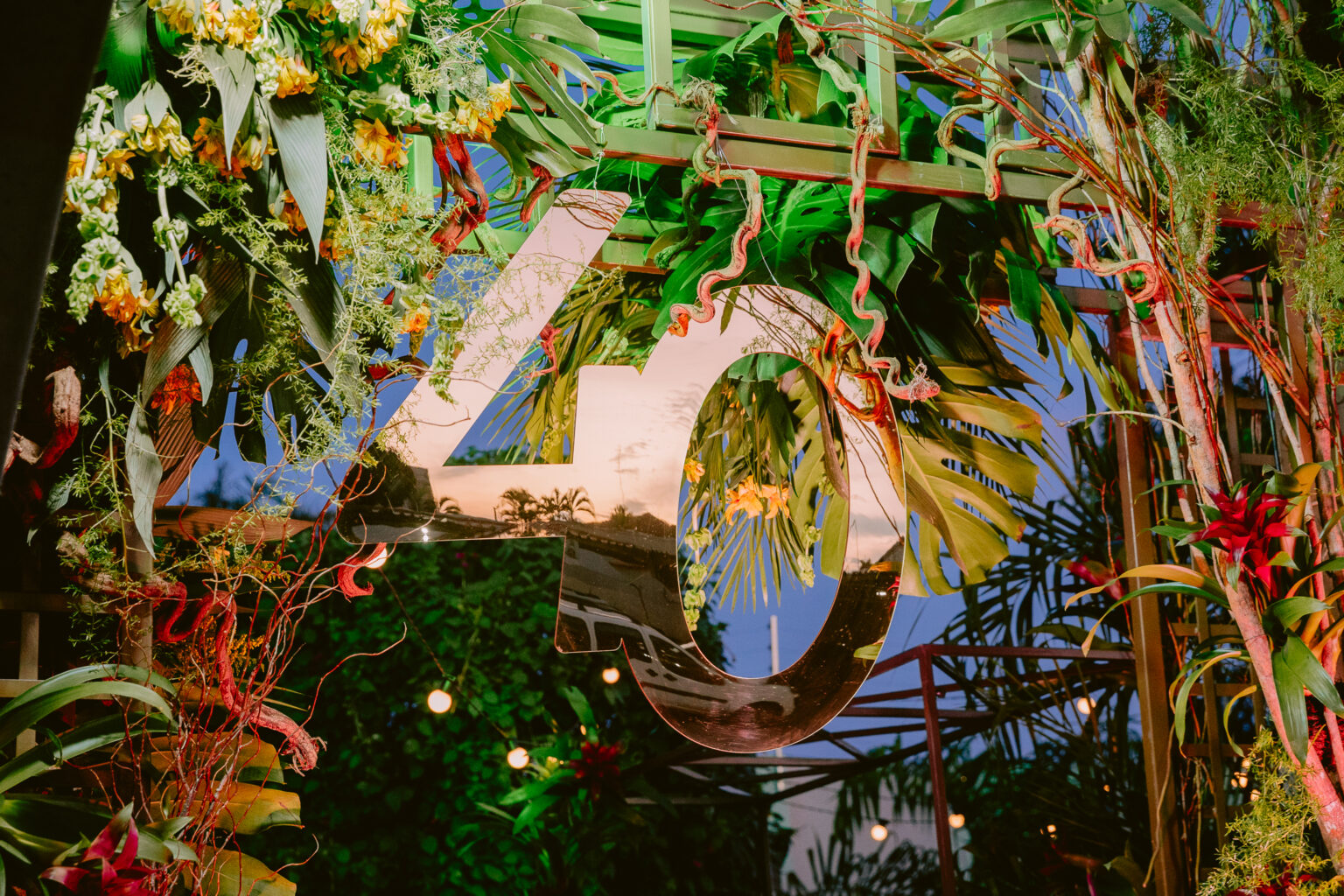 Home - Agro Amazônia