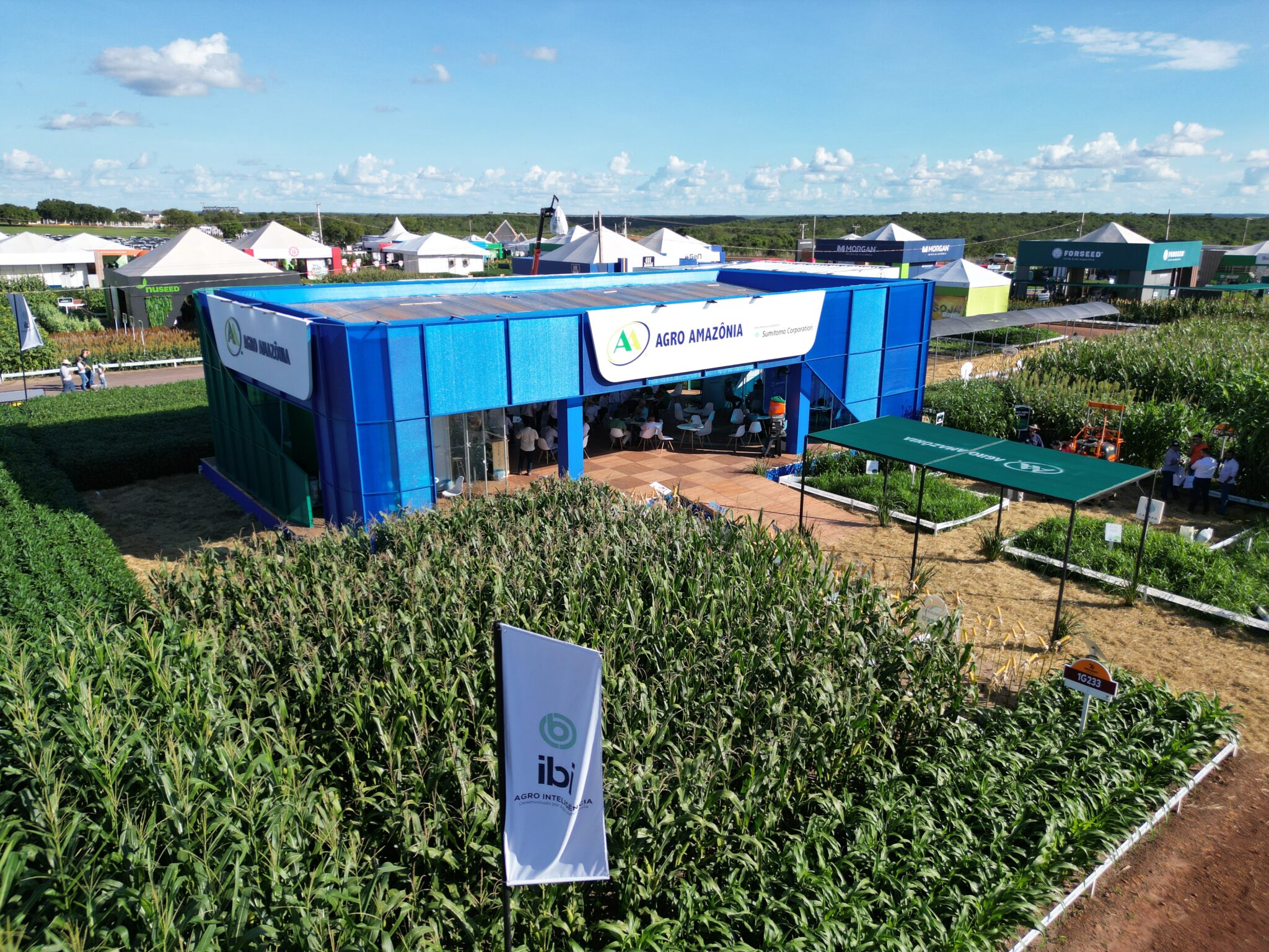 Home - Agro Amazônia