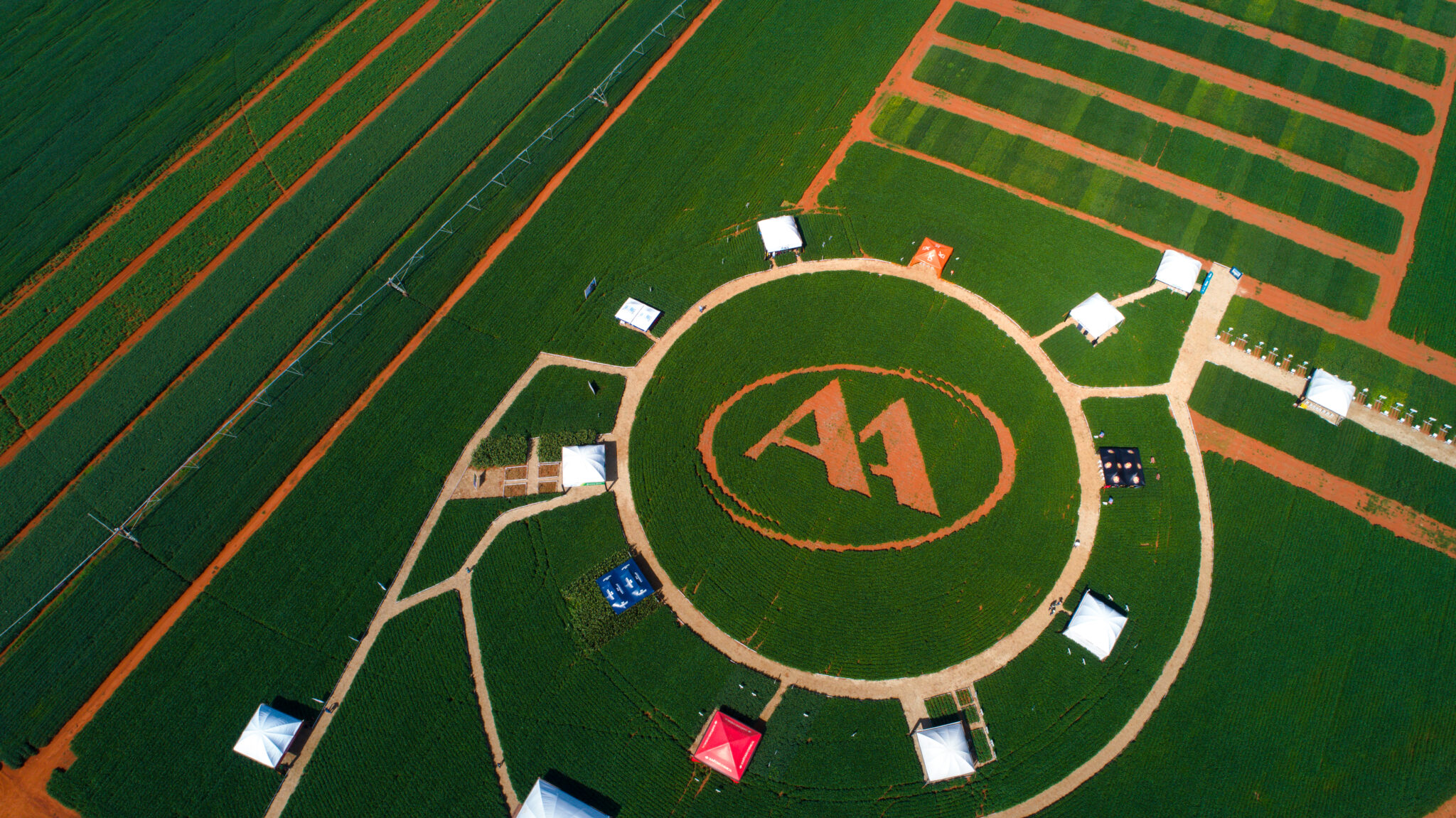 Home - Agro Amazônia